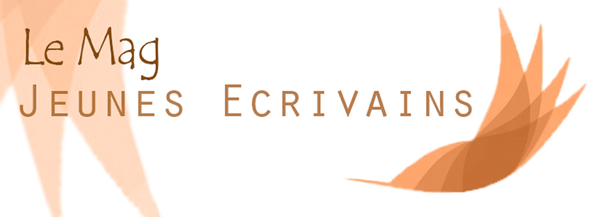 Interview pour le Mag Jeunes Écrivains – Valéry K. Baran & Hope ...